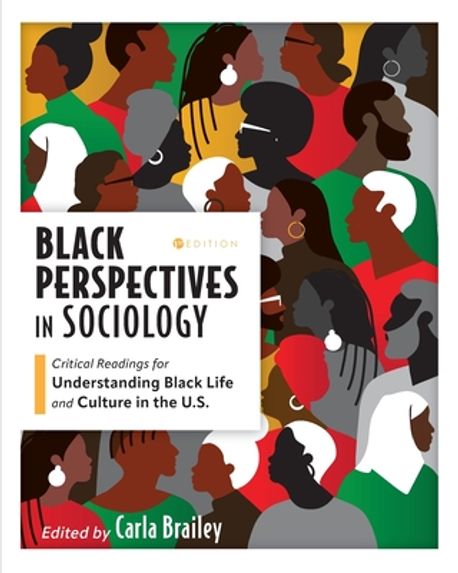 Black Perspectives in Sociology | Brailey, Carla - 교보문고