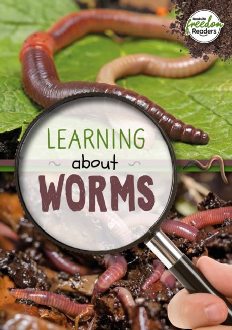 Learning about Worms | Holly Duhig - 교보문고