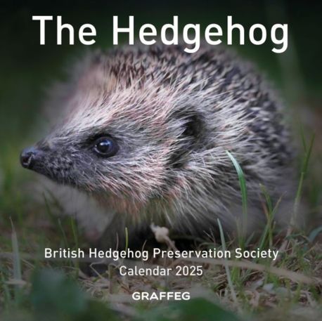 The The Hedgehog Calendar 2025 | British Hedgehog Preservation Society ...