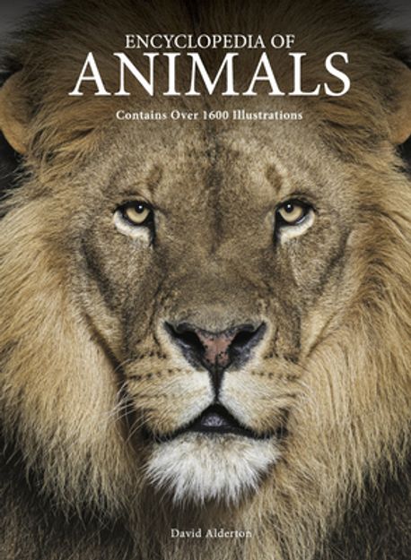 Encyclopedia of Animals | Alderton, David - 교보문고
