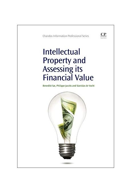 Intellectual Property and Assessing Its Financial Value | Chandos ...