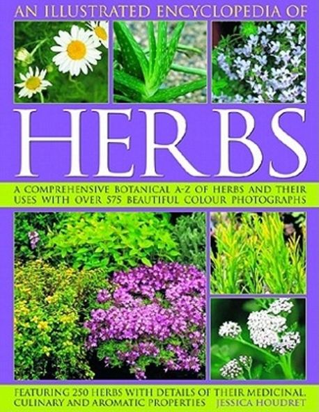 An Illustrated Encyclopedia of Herbs | Houdret, Jessica/ / - 교보문고