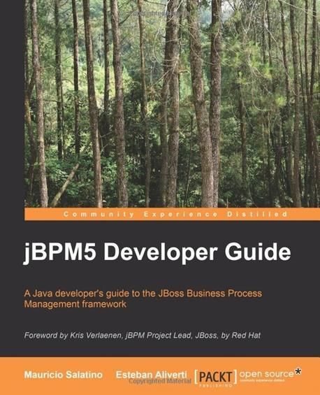 Jbpm 5 Developer Guide | Mauricio Salatino - 교보문고