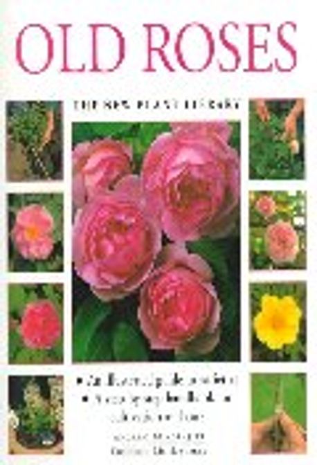 Old Roses | Mikolajski, Andrew/ Anderson, Peter (Pht) - 교보문고