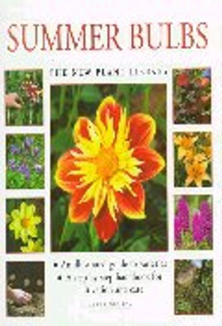 Summer Bulbs | McHoy, Peter - 교보문고