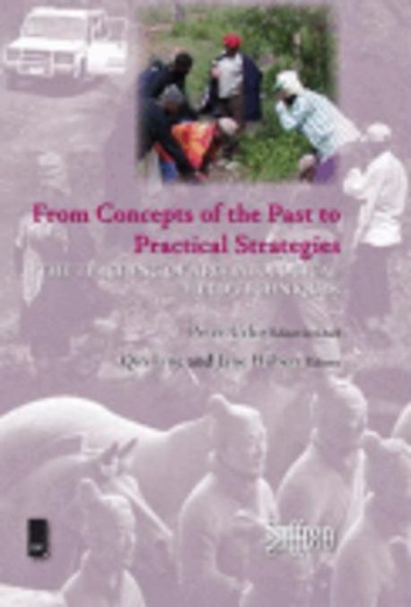 From Concepts of the Past to Practical Strategies: The Teaching of ...