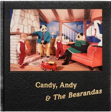 Candy, Andy & The Bearandas | Alan Dein - 교보문고