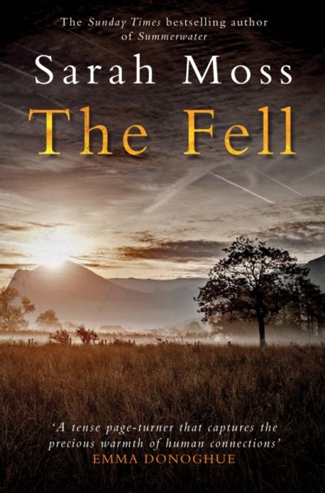 The Fell | Sarah Moss - 교보문고