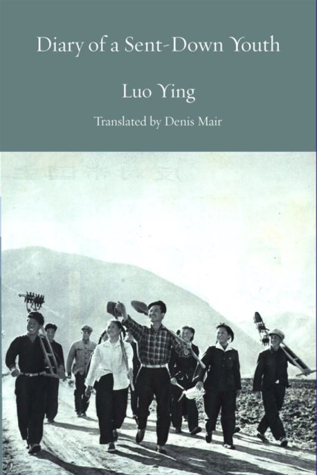 Diary of a Sent-Down Youth | Luo Ying - 교보문고