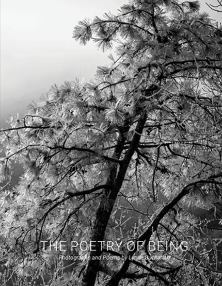 The Poetry of Being | Buchanan, Lynne - 교보문고