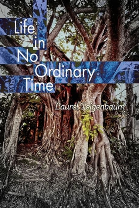 Life in No Ordinary Time | Feigenbaum, Laurel - 교보문고