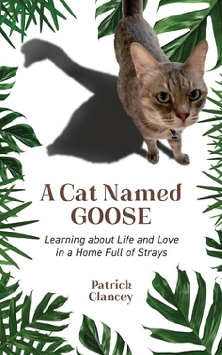 A Cat Named Goose | Clancey, Patrick - 교보문고