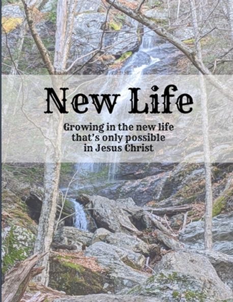 New Life | Williams, Joel - 교보문고