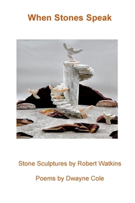 When Stones Speak | Cole, Dwayne - 교보문고