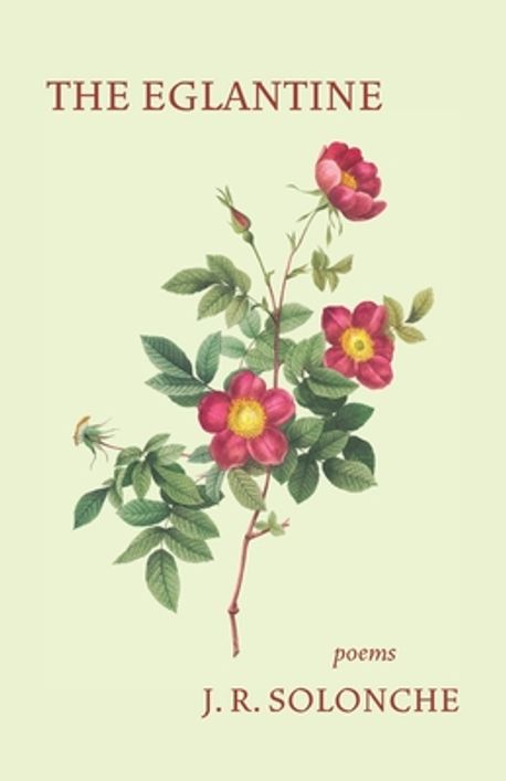 The Eglantine | Solonche, J. R. - 교보문고