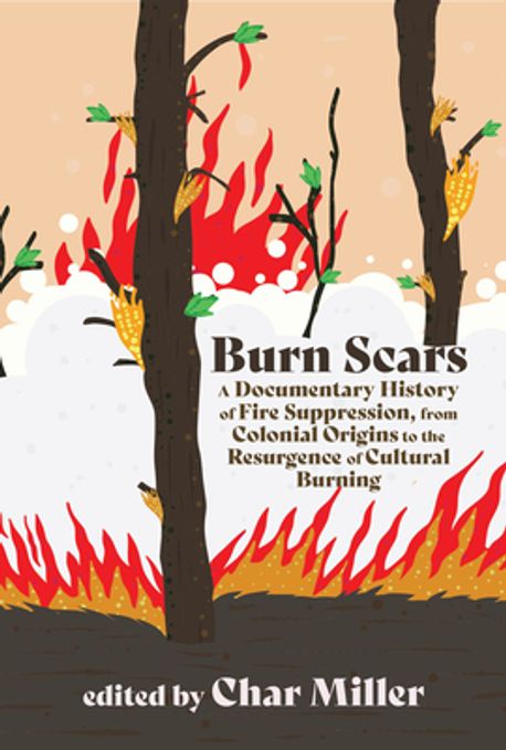 Burn Scars | Miller, Char - 교보문고