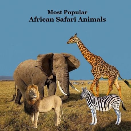 Most Popular African Safari Animals Kids Book | Marie, Kinsey - 교보문고