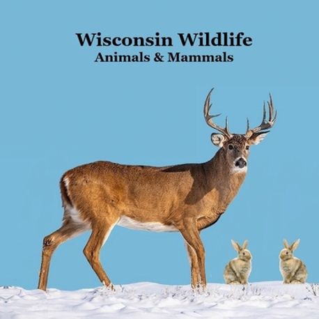 Wisconsin Animals and Mammals Wildlife Book | Marie, Kinsey - 교보문고