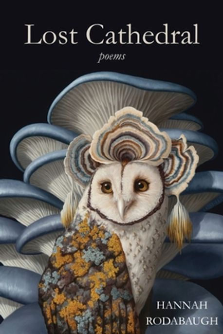 Lost Cathedral | Rodabaugh, Hannah - 교보문고