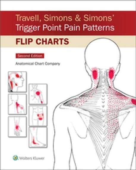 Travell, Simons & Simons' Trigger Point Pain Patterns Flip Charts ...