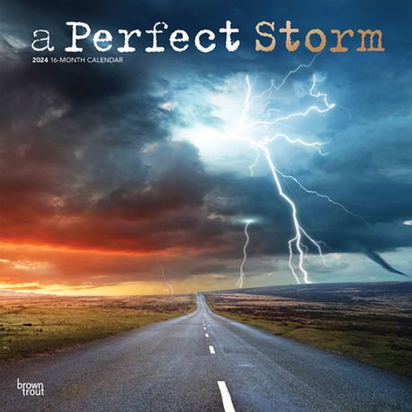 Perfect Storm 2024 Square Foil | Browntrout - 교보문고