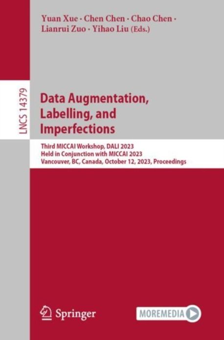 Data Augmentation, Labelling, and Imperfections | Xue, Yuan - 교보문고