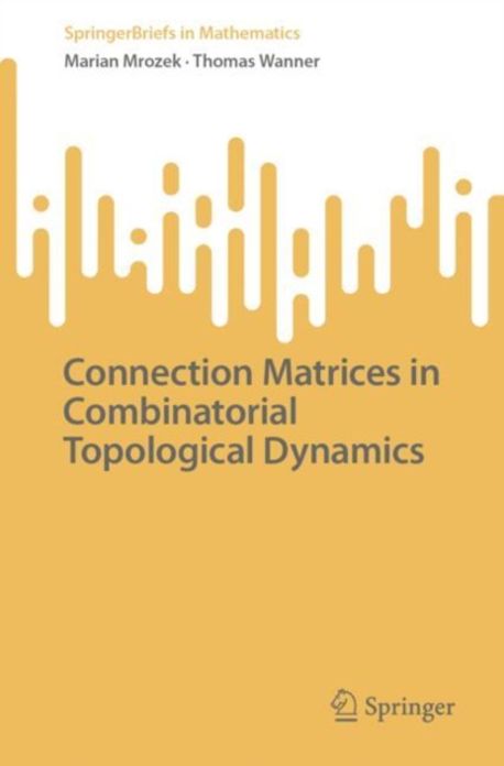 Connection Matrices in Combinatorial Topological Dynamics | Mrozek, Marian - 교보문고