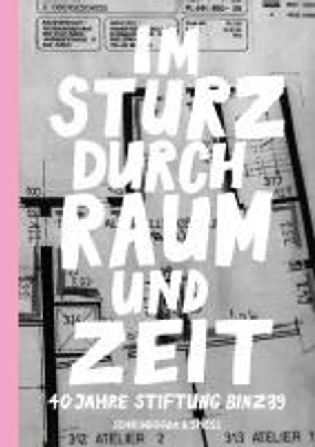Im Sturz durch Raum und Zeit | Kuenzi, Julia - 교보문고