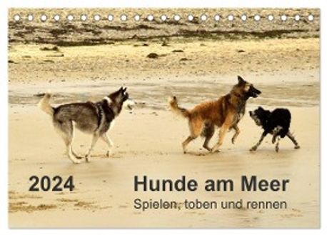 Hunde am Meer - Spielen, toben und rennen (Tischkalender 2024 DIN A5 ...