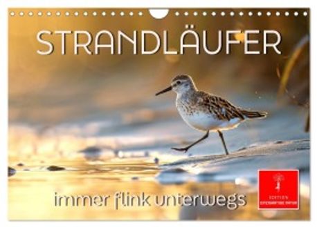 Strandlaeufer - immer flink unterwegs (Wandkalender 2025 DIN A4 quer ...