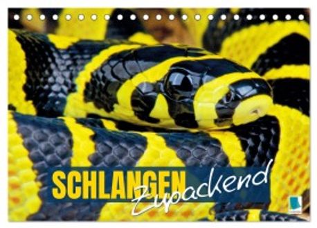 Schlangen: Zupackend (Tischkalender 2025 DIN A5 quer), CALVENDO ...