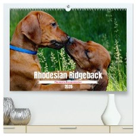 Rhodesian Ridgeback, Charmante Herzensbrecher (hochwertiger Premium ...
