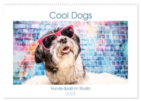 Cool Dogs - Hunde-Spass im Studio (Wandkalender 2025 DIN A2 quer ...