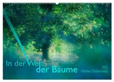 In der Welt der Baeume (Wandkalender 2025 DIN A2 quer), CALVENDO ...
