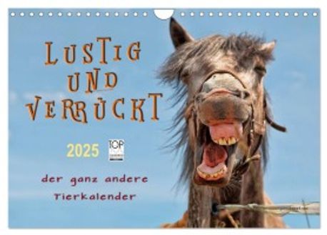 Lustig und verrueckt - der ganz andere Tierkalender (Wandkalender 2025 ...