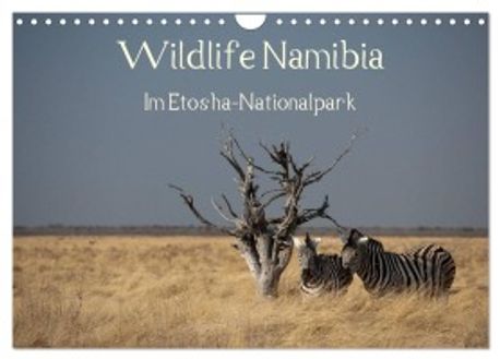 Wildlife Namibia (Wandkalender 2025 DIN A4 quer), CALVENDO Monatskalender | Mueller, Reinhard - 교보문고