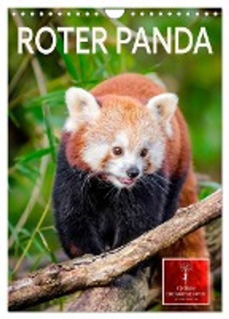 Roter Panda (Wandkalender 2025 DIN A4 hoch), CALVENDO Monatskalender ...