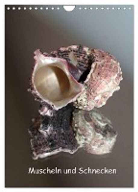 Muscheln und Schnecken (Wandkalender 2025 DIN A4 hoch), CALVENDO ...