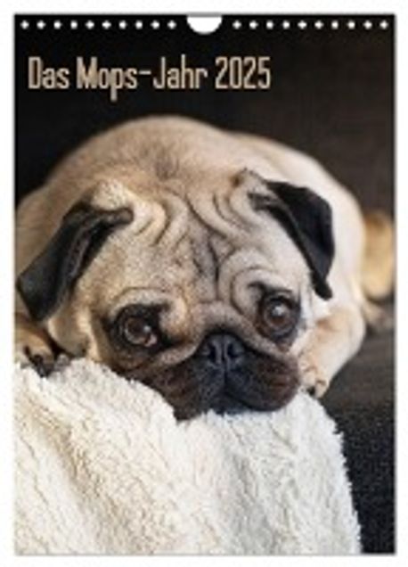 Das Mops-Jahr 2025 (Wandkalender 2025 DIN A4 hoch), CALVENDO ...