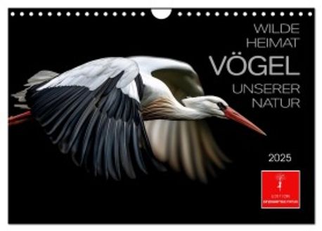 Wilde Heimat - Voegel unserer Natur (Wandkalender 2025 DIN A4 quer ...