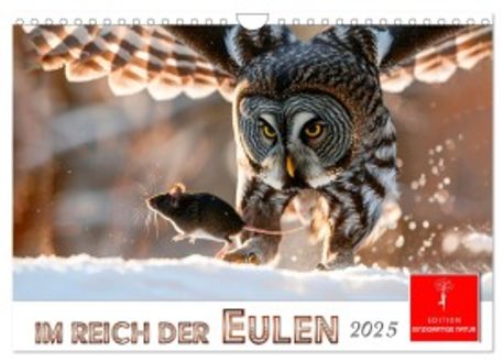 Im Reich der Eulen (Wandkalender 2025 DIN A4 quer), CALVENDO ...
