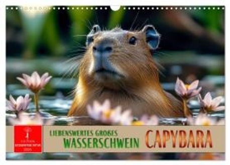 Capybara - liebenswertes grosses Wasserschwein (Wandkalender 2025 DIN ...