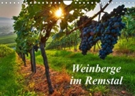 Weinberge im Remstal (Wandkalender 2023 DIN A4 quer) | Schmidt, Bernd ...