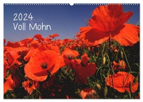 Voll Mohn (Wandkalender 2024 DIN A2 quer), CALVENDO Monatskalender ...
