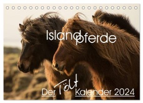 Islandpferde - Der Toelt Kalender (Tischkalender 2024 DIN A5 quer ...