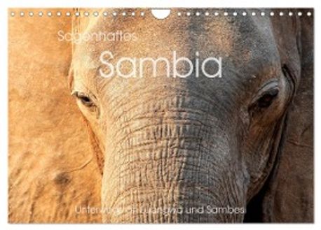 Sagenhaftes Sambia - Unterwegs an Luangwa und Sambesi (Wandkalender ...