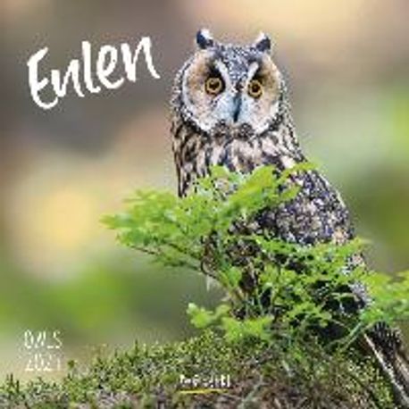 Eulen 2024 | Korsch, Verlag - 교보문고