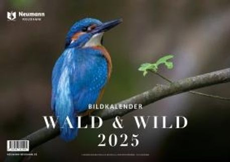 Wald & Wild 2025 | - 교보문고