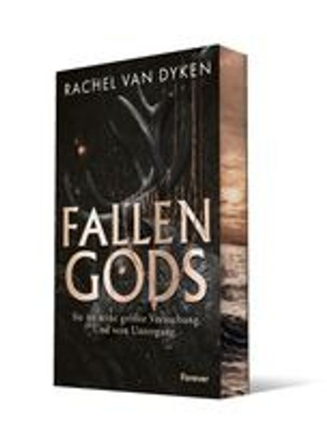 Fallen Gods | Dyken, Rachel Van - 교보문고