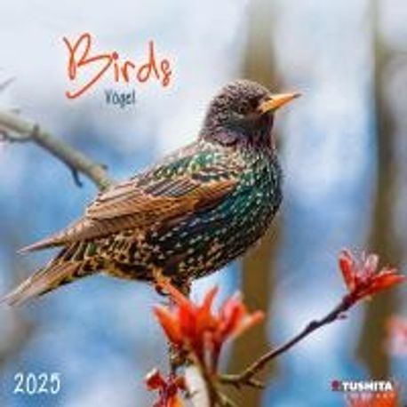 Birds 2025 | - 교보문고